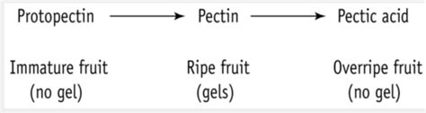 4100 Quiz 3 Flashcards Quizlet