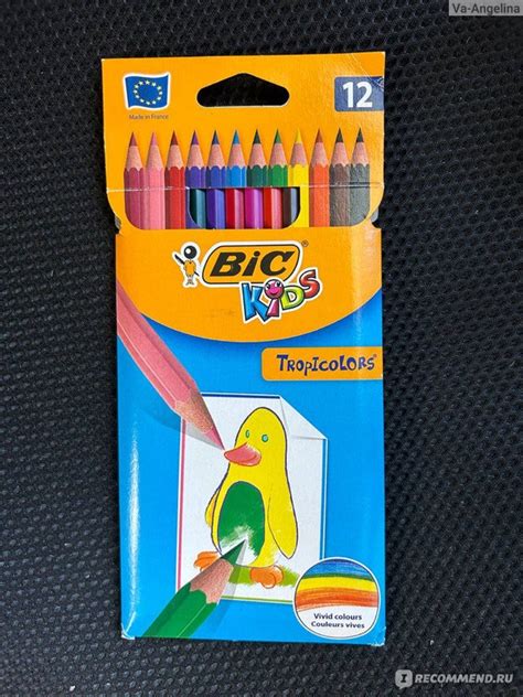 Цветные карандаши Bic Tropicolors 12 цветов - «Мягкие яркие карандаши ...