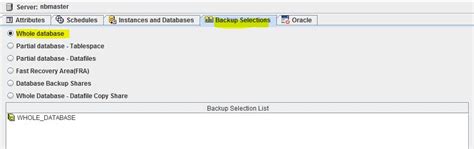 Remote Infrastructure Management Oracle Rman Backup Using Netbackup 812