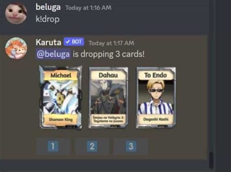 How To Use Karuta Discord Bot Karuta Bot Commands