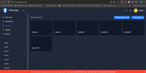 Project Disappears In Projects Page Bug Vikunja Community
