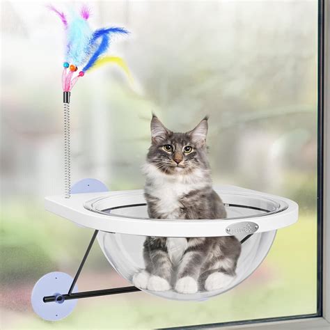Buy Pecute Cat Perch Window Cat Hammock Window Seat With Semi Space Capsule Bubble Iron