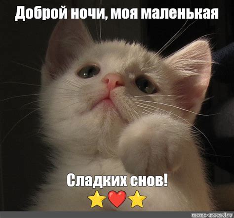 Мем Доброй ночи моя маленькая Сладких снов ⭐ ️⭐ Все шаблоны