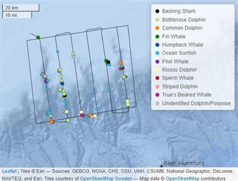 Marine Monument Brings Together Diverse Animal Assemblage New England