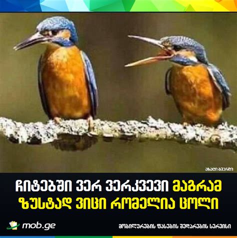 ახალი გვერდი 👉 Mob Ge მობილურების ფასების