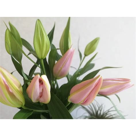 おここ R Ococo • Instagram Photos And Videos