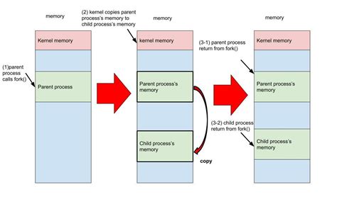 What Is Process Management In Linux Posetke