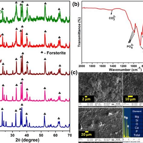 Xrd A Ft Ir B And Semedax C Of Forsterite Immersed In Sbf Download Scientific Diagram