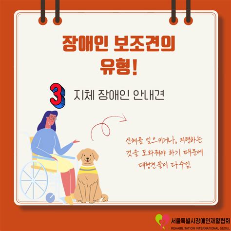 우리가 환영해야할 장애인 보조견 서울특별시 장애인재활협회