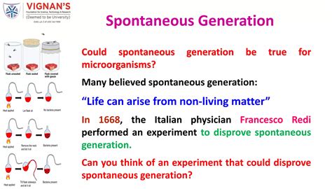 Lecture 3 Spontaneous Generation Theorypptx