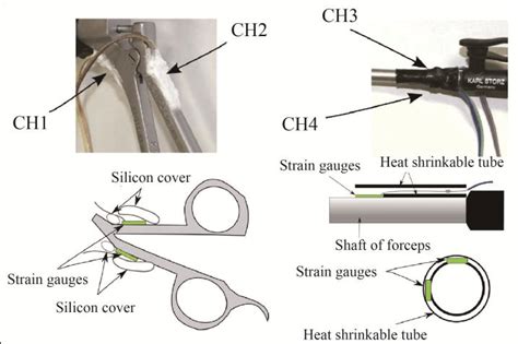 Prototype Force Sensing Forceps Download Scientific Diagram