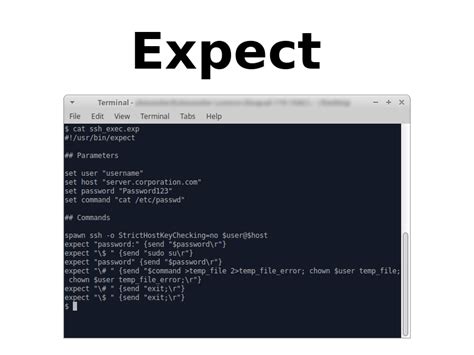 Making Expect Scripts For Ssh Authentication And Privilege Elevation
