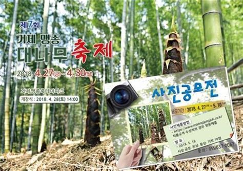 죽순 캐러 오세요…거제 맹종 대나무 축제 개막 연합뉴스