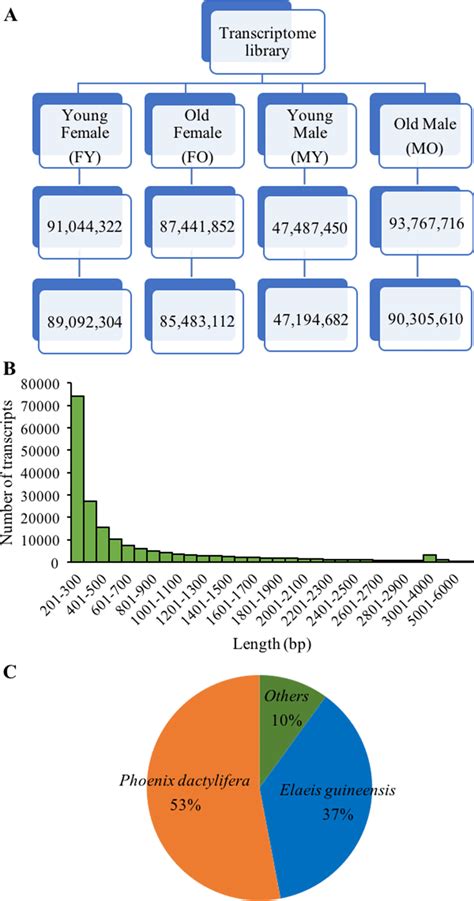 De Novo Transcriptome Sequencing Overview A Total Sequence Reads Download Scientific Diagram