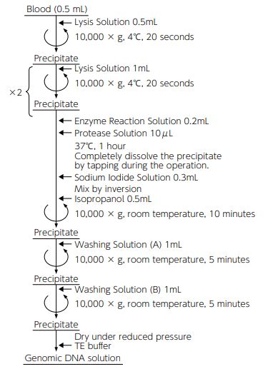 Wako 295 50201 Dna Extractor Kit 生物制药残余dna抽提试剂盒 Wako和光纯药