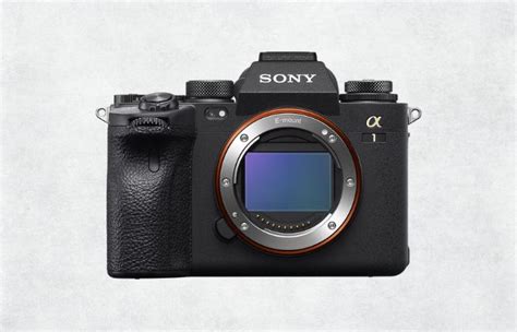 Best Sony Cameras For Wildlife Photography ATH