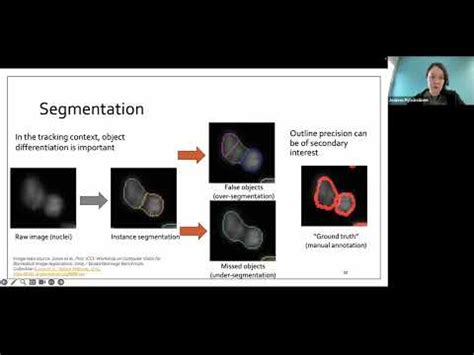 GitHub CellMigrationLab CellTracksColab A Platform For Compiling Analyzing And Exploring