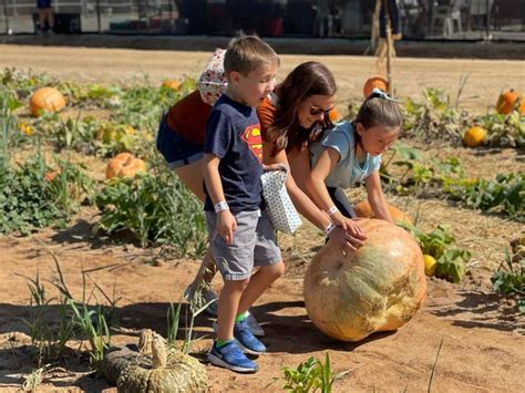 Oceanside Fall Festival Mellano Farm Stand