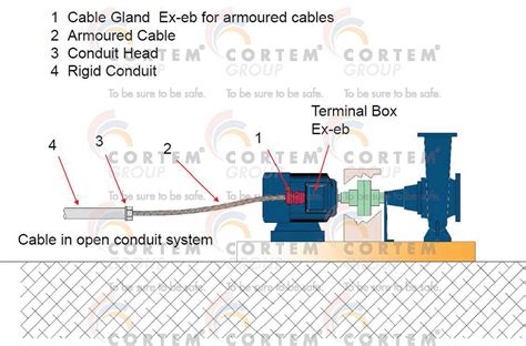 Typical Connections Of Ex Eb Junction Boxes Into Ex Db And Ex Eb Motors Cortem S P A