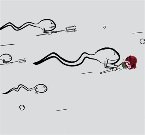 G6 Ch2 L3 2 Meiosis And Cell Reproduction Baamboozle Baamboozle The