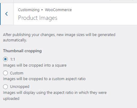 Using WooCommerce CSSIgniter
