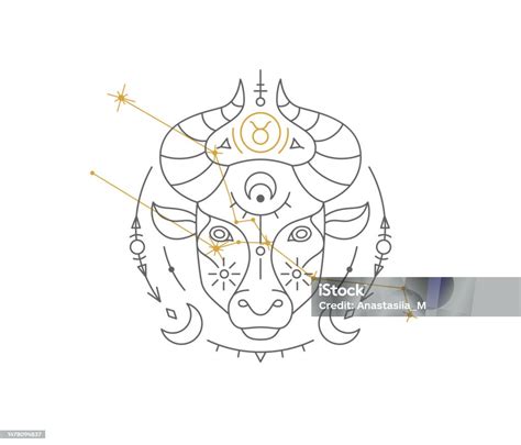 Stier Astrologisches Symbol Mit Sternzeichen Verbundene Sterne Stock