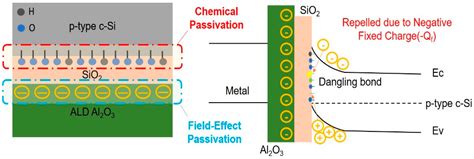 Passivation Layer Definition At Owen Griver Blog