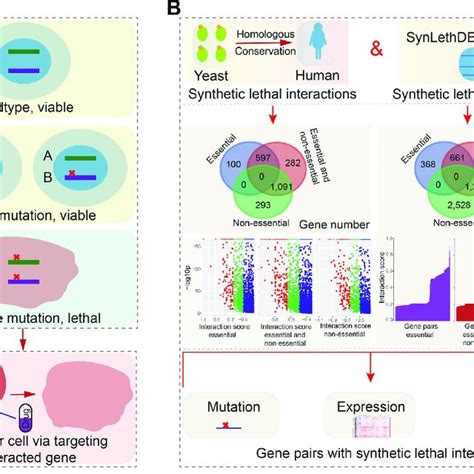 Pdf Integrative Omics Analysis Reveals Relationships Of Genes With