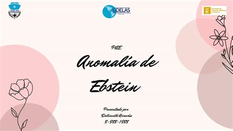 Anomalia De Ebstein Delisneth Arrocha Udocz