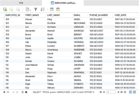 Navicat For Postgresql 강력한 Postgresql 데이터베이스 관리 도구