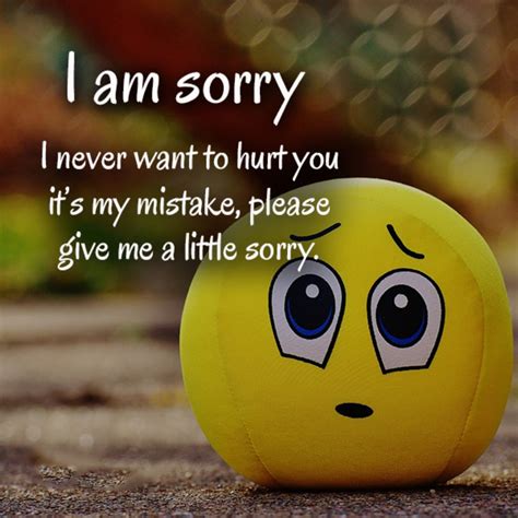 Sorry Quotes For Best Friend Sorry Messages For Friends