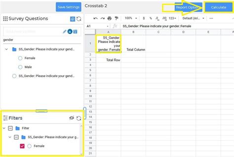 Filters Columns And Rows Surviewer