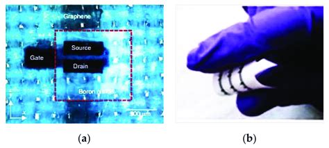 Graphene Based Biocompatible Electronics Optical Microscopy Image Of Download Scientific