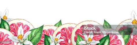 붉은 오렌지와 자몽 꽃 잎의 수채화 프레임은 휴일 결혼식 및 음식 디자인에 사용하기 위해 식물 스타일로 손으로 그렸습니다 인사말 카드를위한 열대 감귤류 과일 감귤류 과일에