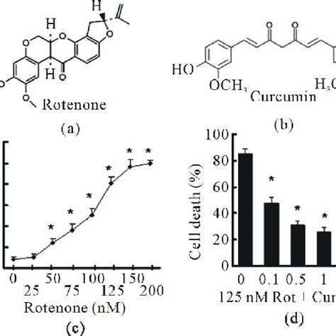 Rotenone Induced Pd Like Phenotypes In Drosophila A And B Rotenone At
