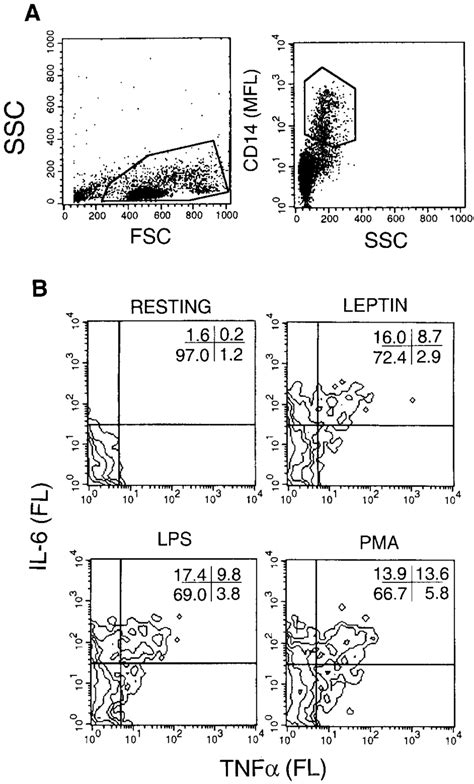 Flow Cytometric Simultaneous Detection Of Cytokine Synthesis Among Pbmc Download Scientific