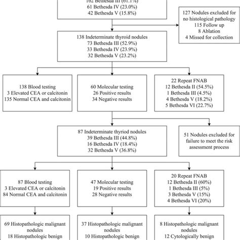Flowchart For The Cytologically Indeterminate Thyroid Nodules Included Download Scientific