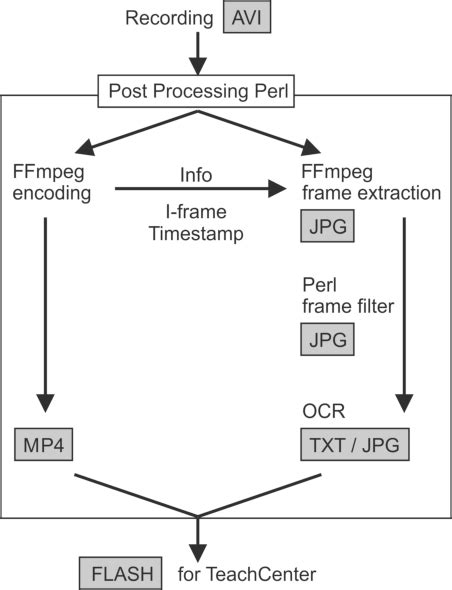 Workflow Scheme Of The Editingencoding Routine Download Scientific Diagram
