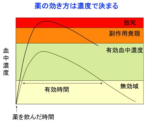 中島 美紀 金沢大学 ナノ生命科学研究所