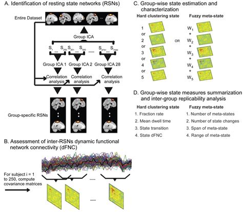The Dynamic Functional Network Connectivity Analysis Framework Pmc
