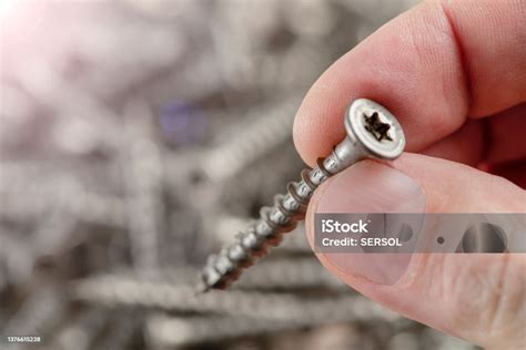 한 남자가 나사를 들고 클로즈업을 하고 있다 나무 가구의 생산을위한 나사 수리 및 수리 도구 토락 헤드가 있는 스테인리스 스틸 볼트 Diy에 대한 스톡 사진 및 기타 이미지