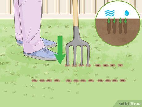 3 Easy Ways To Break Down Clay Soil Fast WikiHow