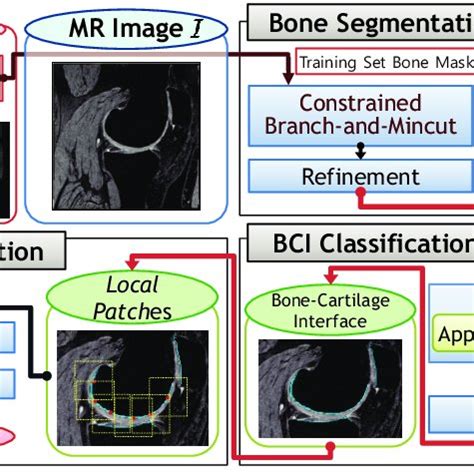 Flowchart Of The Proposed BCI Classification Process Download Scientific Diagram