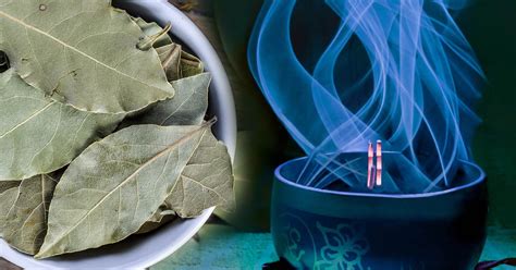 რატომ უნდა დაწვათ დაფნის ფოთოლი მზის ჩასვლისას