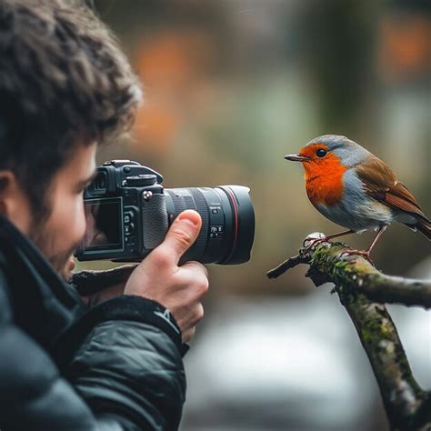 Premium Photo Cinematic Professional Male Photographer Shooting A Picture Of A Red Robin With