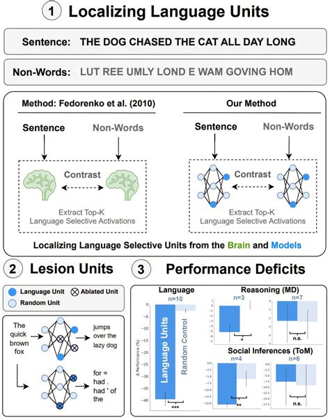 Key Units In Ai Models Mirror Human Brains Language System All In One Tech Blog
