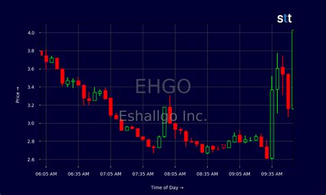 Ehgo Stock Rockets On Heavy Volume As Traders Pile In Stockstotrade