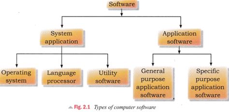 Cbse Notes For Class 5 Computer In Action Computer Software And Its Type Cbse Tuts