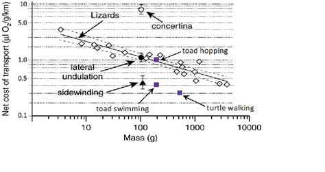 Solved Below Is A Log Log Plot Showing The Relationship Chegg Com