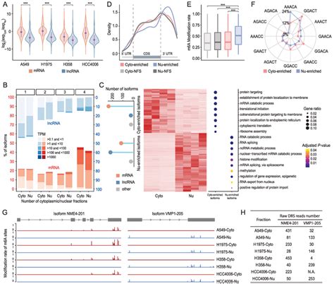 Integrative Analysis Of The Subcellular Transcriptome And Download Scientific Diagram
